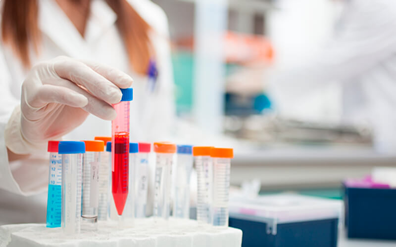 Manual de Direitos e Deveres do Paciente do Laboratório Verner Willrich ...